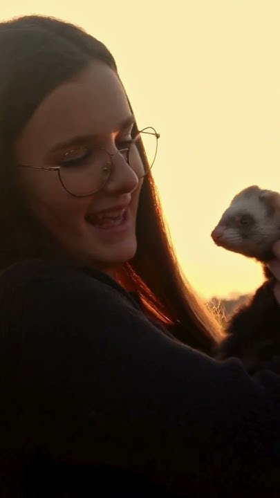 3 Fascinating Facts About Ferrets | Discover the Secrets of These ...