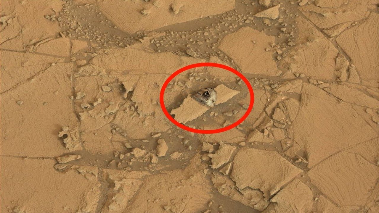 NASA's Newly Released Images Of MARS! Perseverance Rover Capture ...