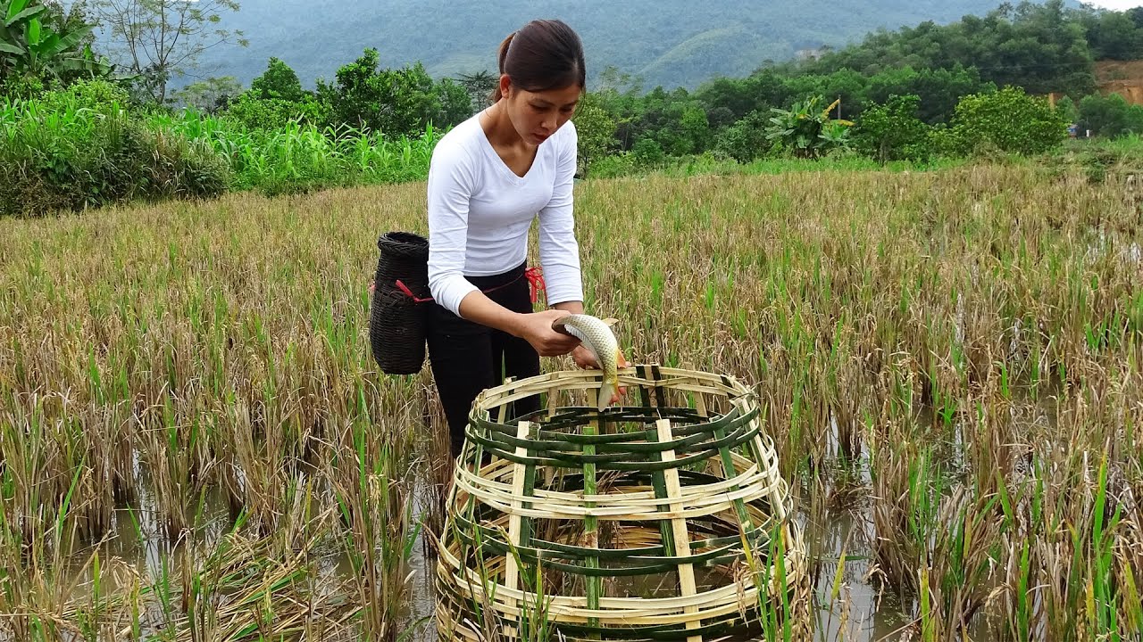 How to catch copper carp, Continue to complete the house, Tea tree ...