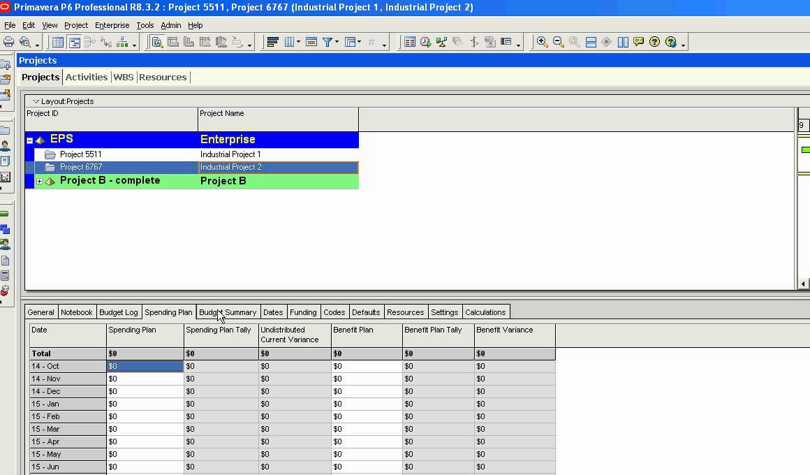 Primavera P6 View and modify information in Project Details - YouTube