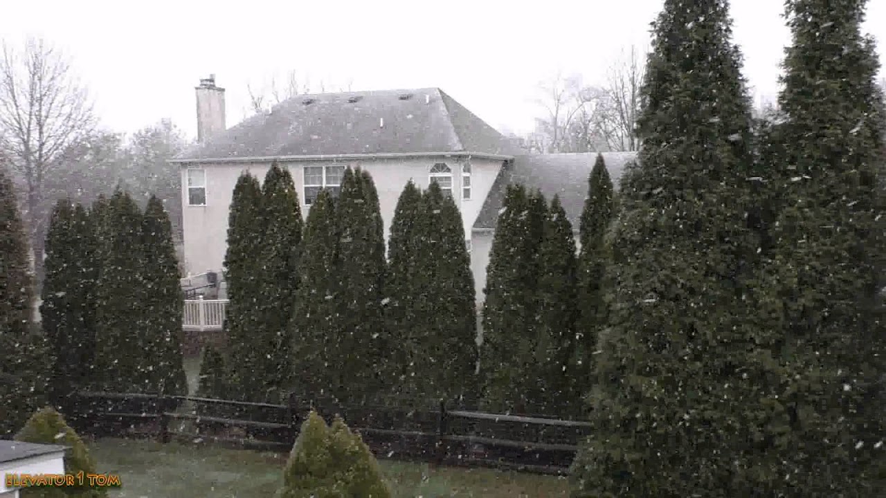 HUGE Snowflakes from Bomb Cyclone Riley - YouTube