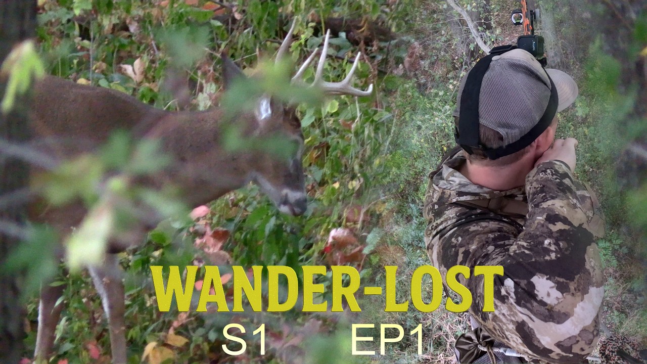Public Land Bowhunting Opening Day Success | WanderLost S1 Ep1 - YouTube