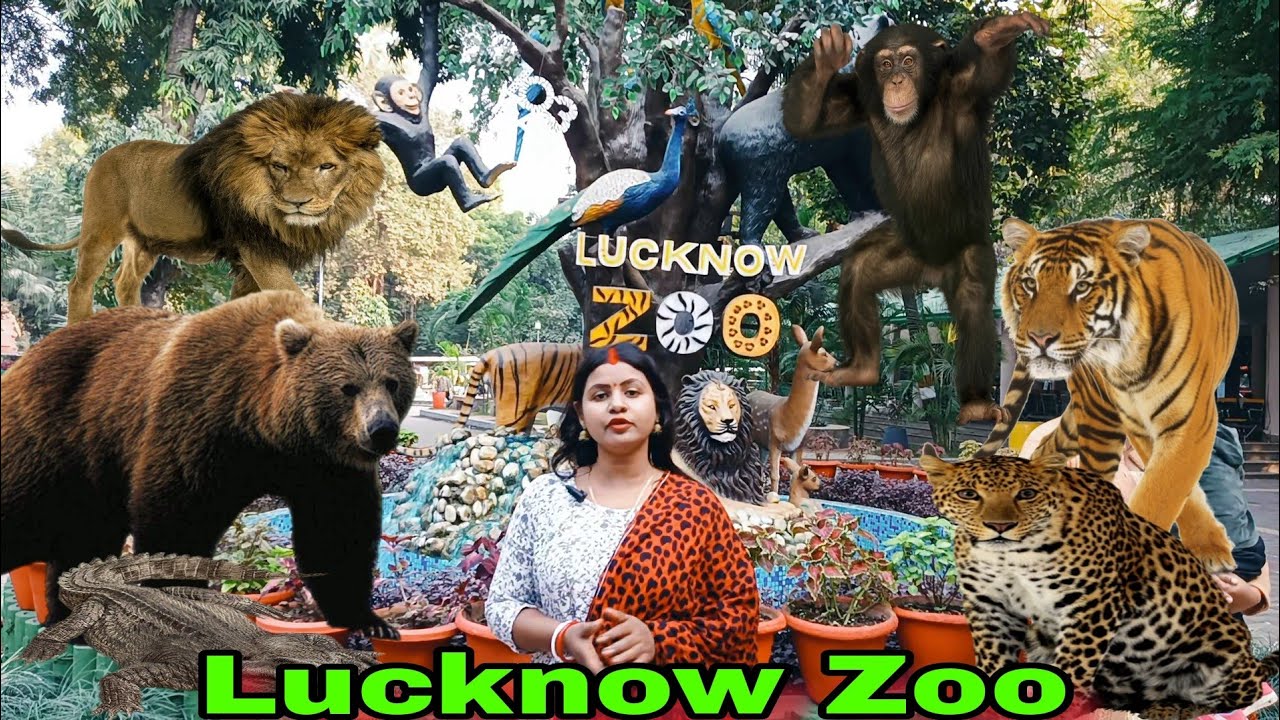 Lucknow zoo l চিড়িয়াখানা l লখনউ চিড়িয়াখানা l Lucknow zoo video l ...