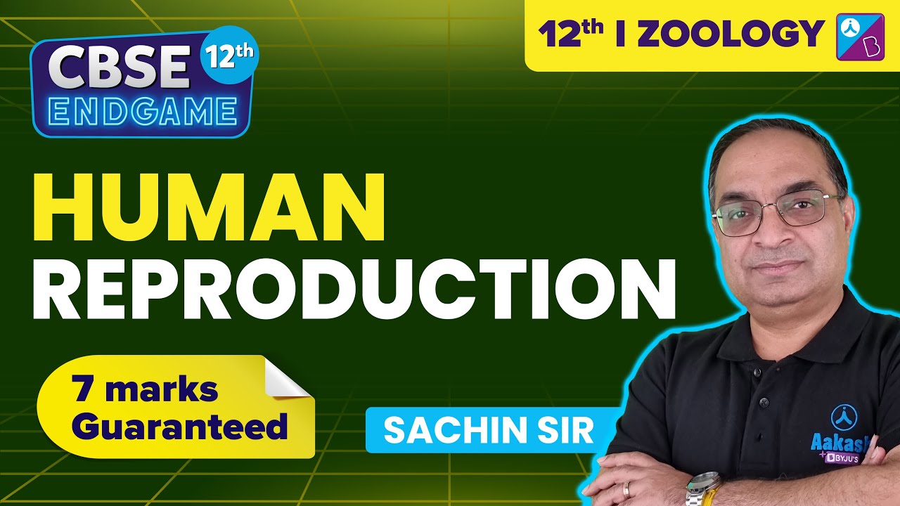 Human Reproduction Class 12 Biology Chapter Explained for CBSE Board ...