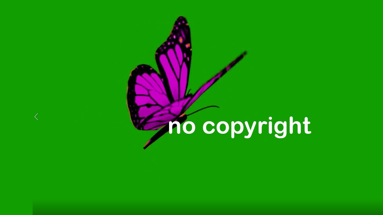 Green screen Butterfly flying green screen effects green screen ...
