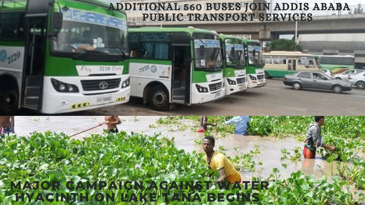 560 Buses Join Addis Transport Services | Major Campaign against Water ...