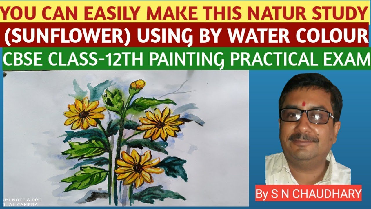 NATURE STUDY/SUNFLOWER/SKETCHING/DRAWING/ PAINTING CBSE FINE ARTS ...
