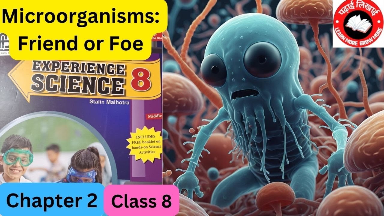Microorganisms: Friend or Foe || Class 8 Chapter 02 || Frank Experience ...