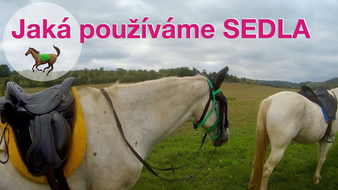 Jaká používáme sedla 🏇🏇🏇 Uzdečky a výbava pro koně Návštěva Věrky ...