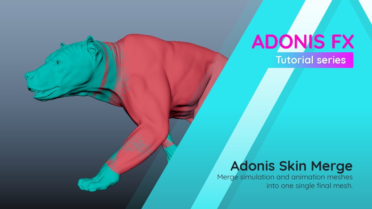 AdonisFX Tutorial: Merge simulation and animation meshes using the ...