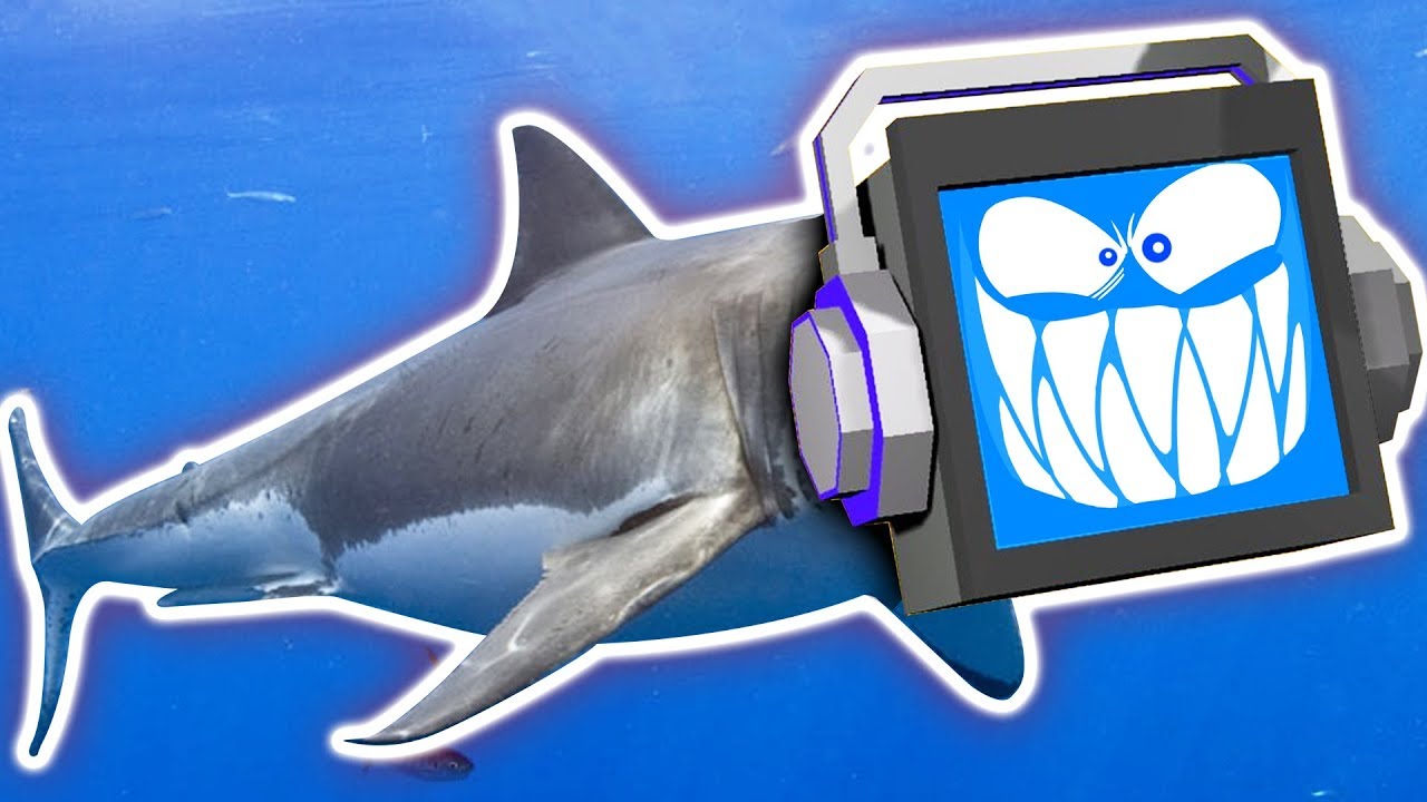 SHARKDROID! - YouTube