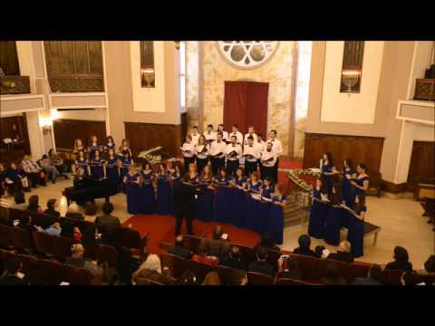 Nâzım Hikmet Akademi Korosu - Allı Turnam (Düz. Sarper Özsan)
