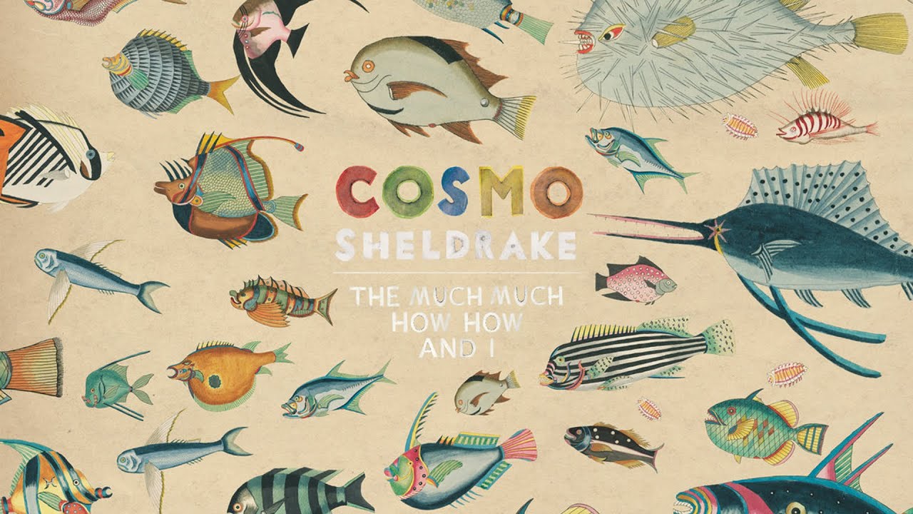 Birthday Suit, Cosmo Sheldrake [Extended Mix] - YouTube