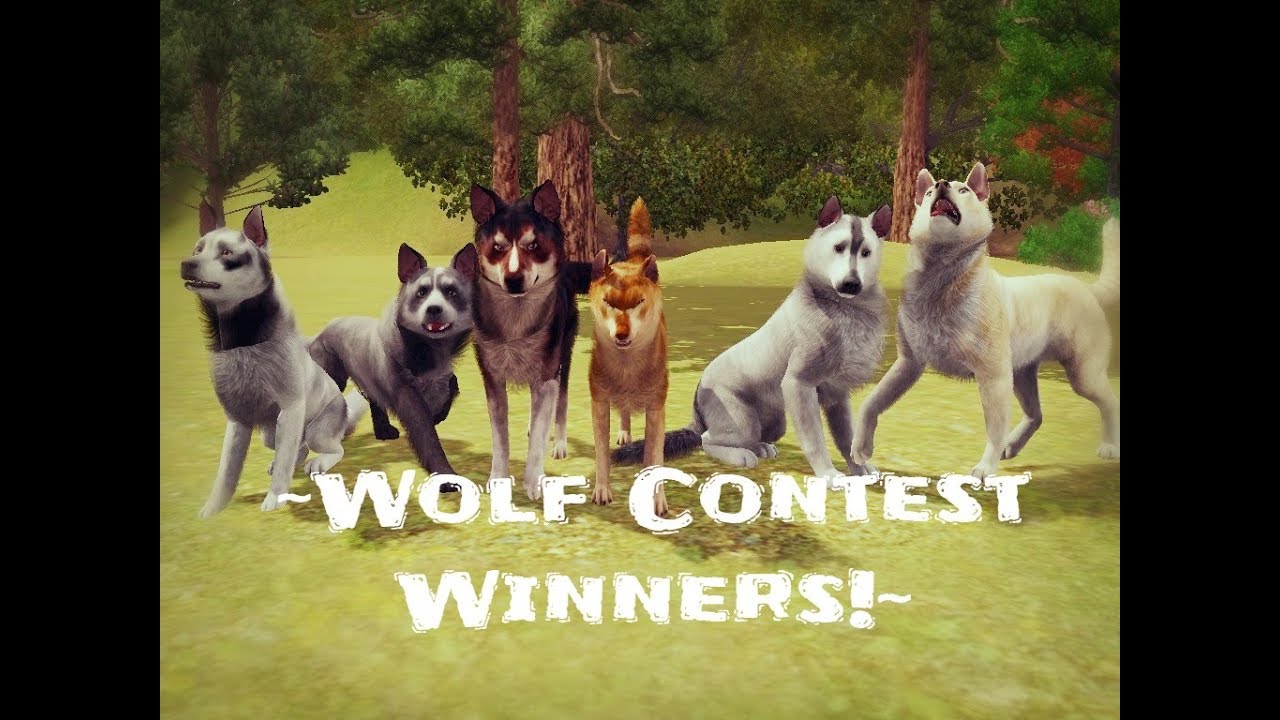 ~Wolf Contest Winners!~ - YouTube