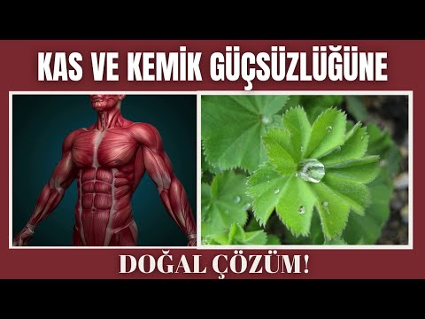 Günde 1 Bardak İçerek Kas ve Kemik Güçsüzlüğünü Yok Edin!