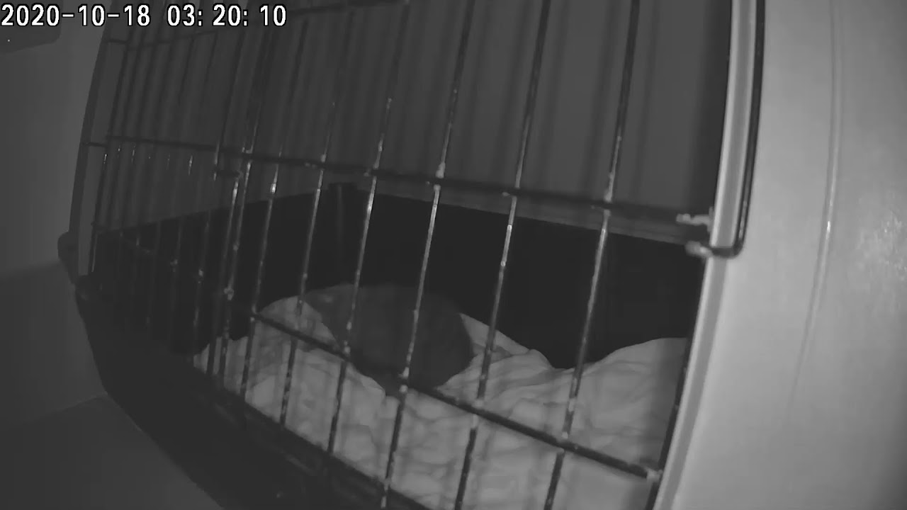 Alex Kuklin Live Stream - YouTube