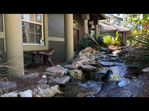 My New Aquascape Ecosystem Pond!!!