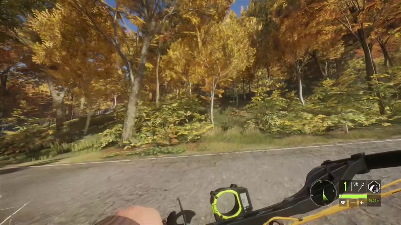 Diamond roe deer w bow - YouTube