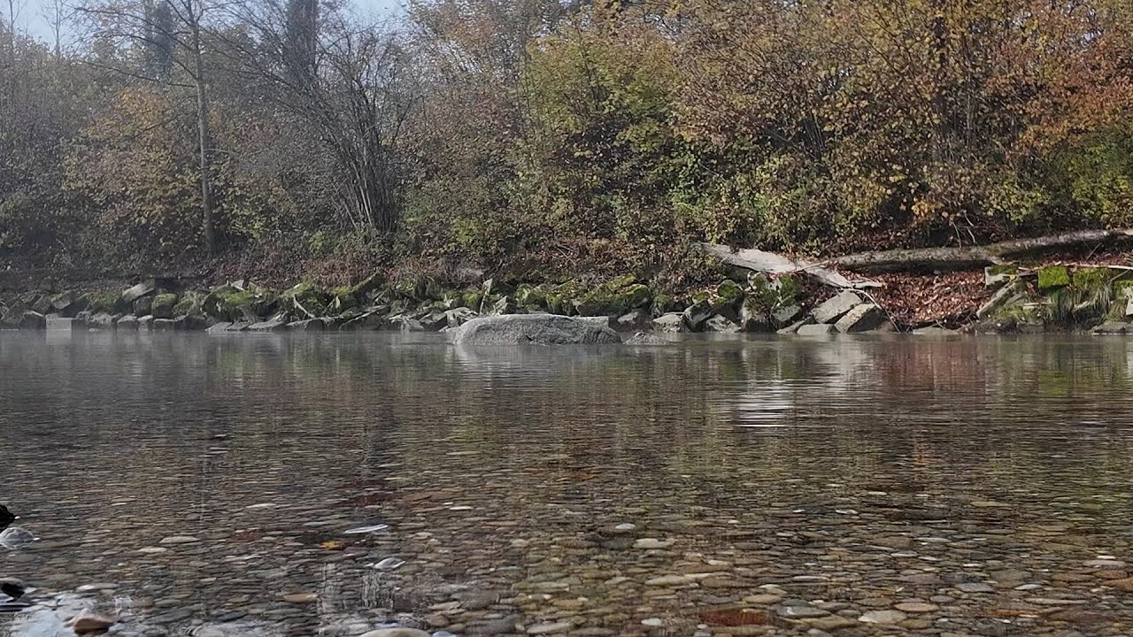 Soothing River Sounds 12 Hours - Soothing Water Sounds for Peaceful ...