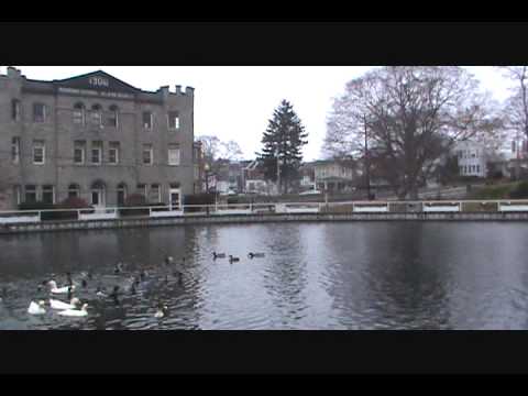 Ducks in pond, Roaring Spring, PA 11-24-12 - YouTube