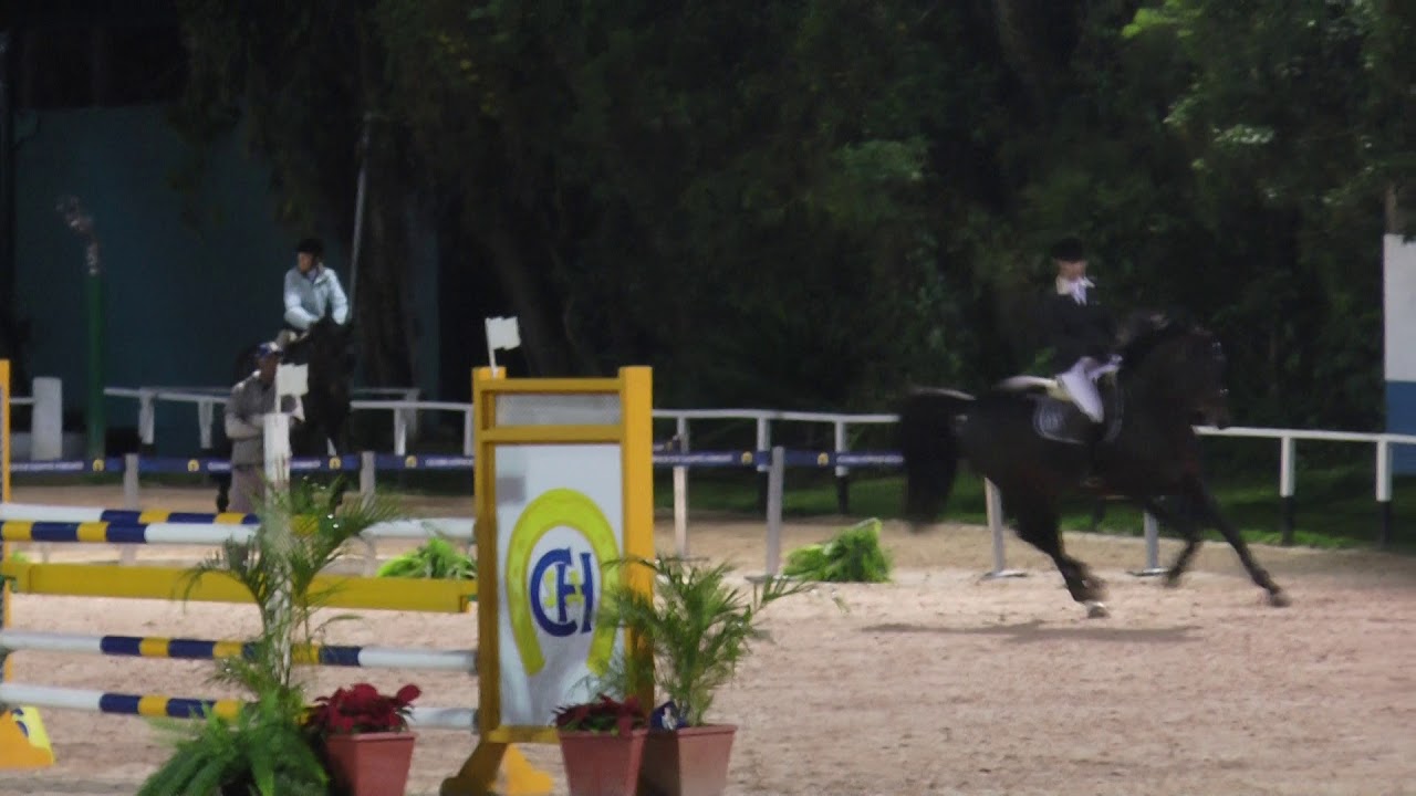 Stallion - Diamant de Semilly 9y.o - YouTube