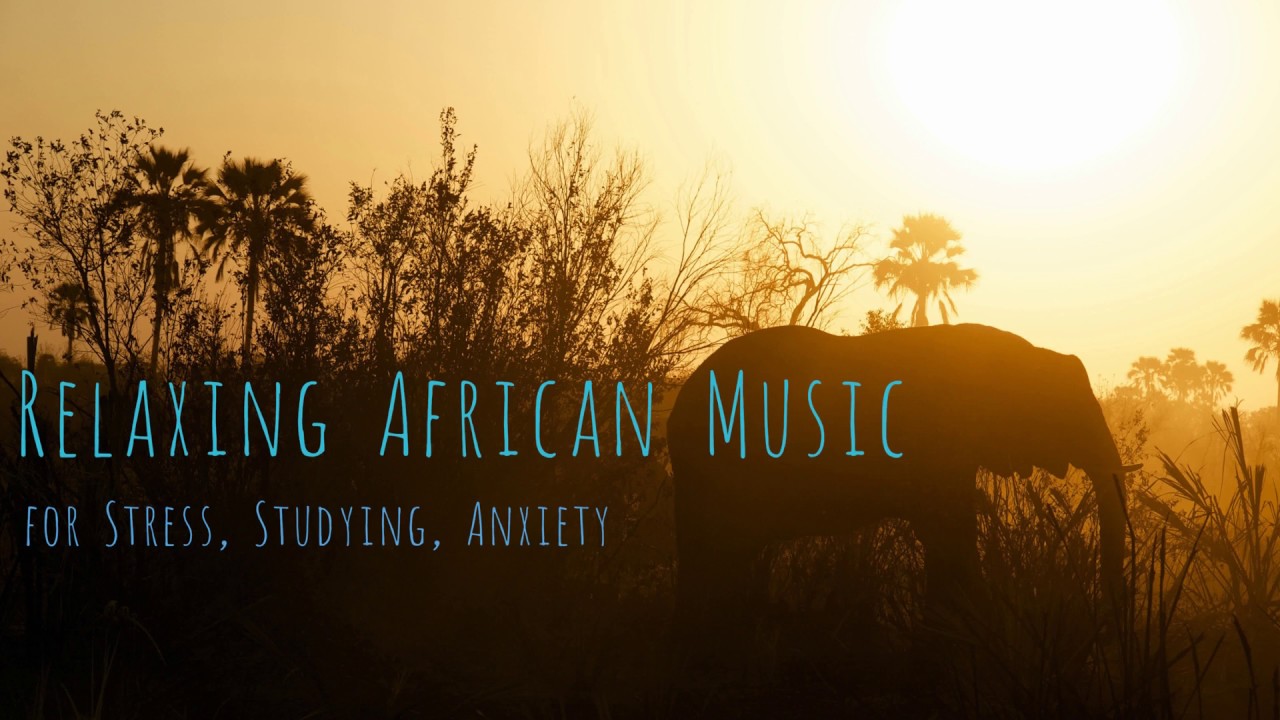 Relaxing African Music for Studying, Anxiety, Meditation - YouTube