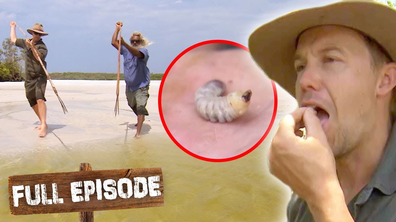 Tim Survives A Day In The Wild | The Wild Life Of Tim Faulkner S03E11 ...