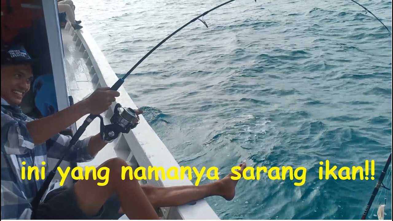 Trip Mancing Pabelokan (Part 2), Strike bertubi-tubi di sarang ikan ...