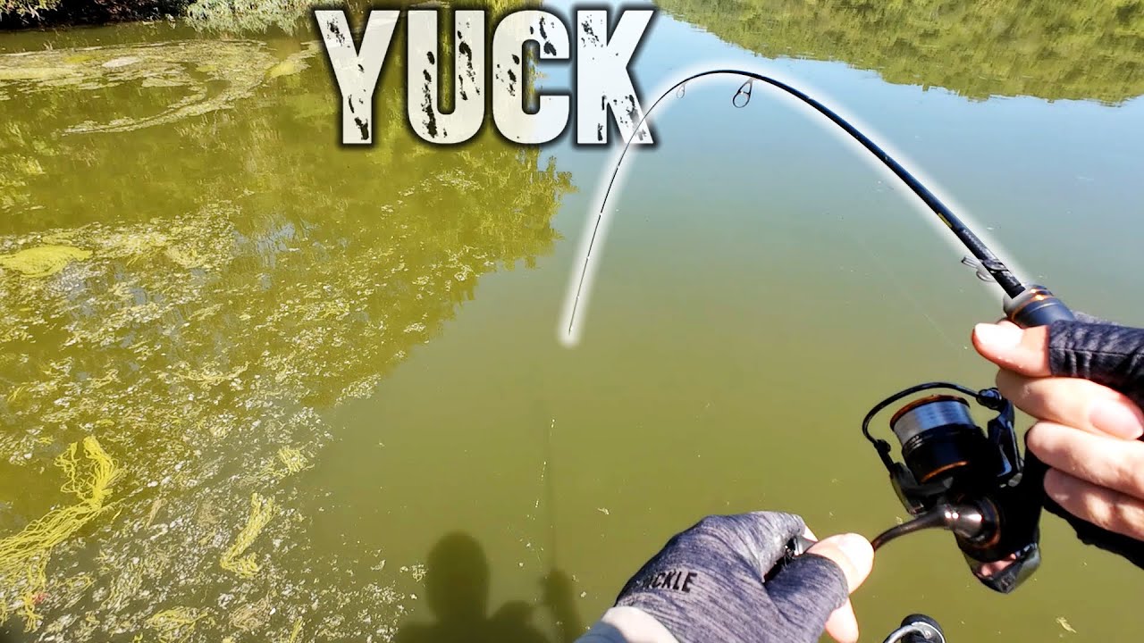 Fishing in the MUCK | Unglorious Fishing - YouTube