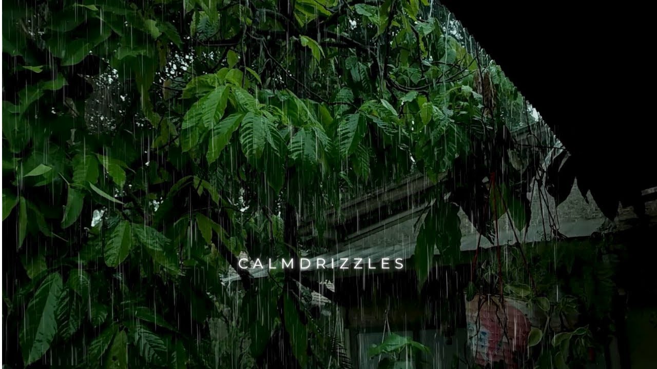 Heavy Rainfall Ambience: Cozy Vibes for a Relaxing Day | ASMR Rain ...