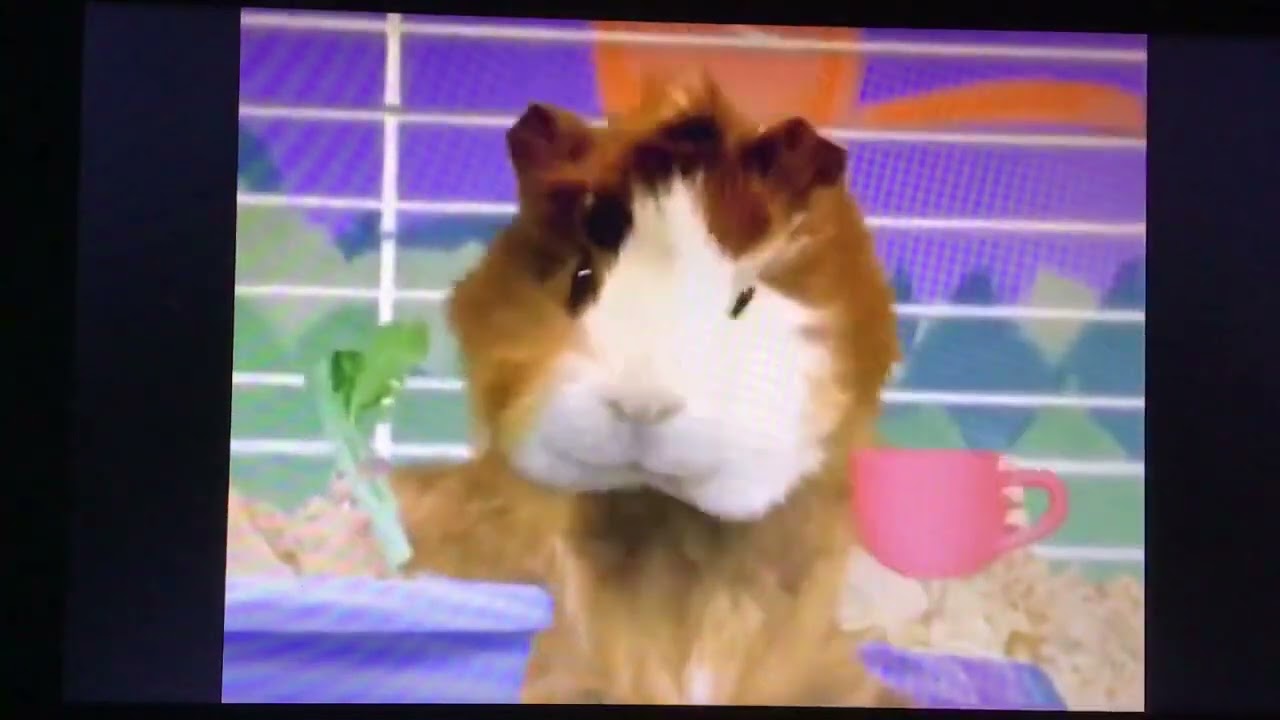 Wonder Pets Save The Mouse Episode