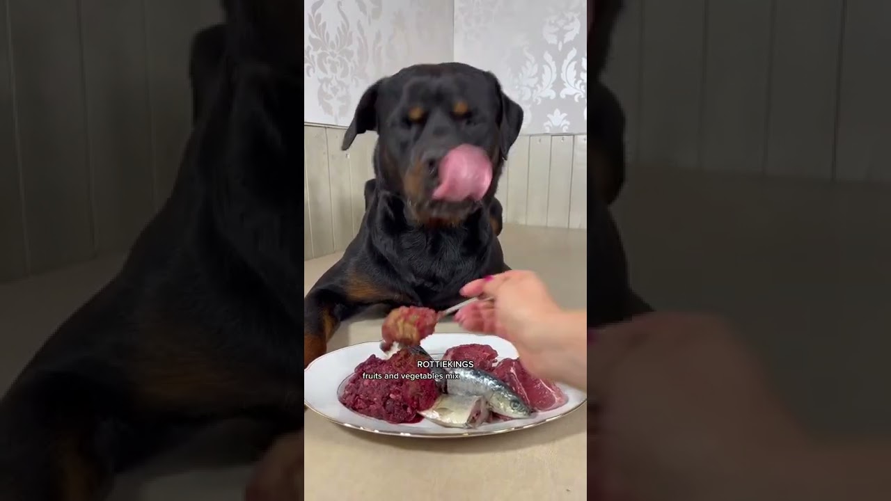 Can You Feed Rottweiler Puppy Raw Meat