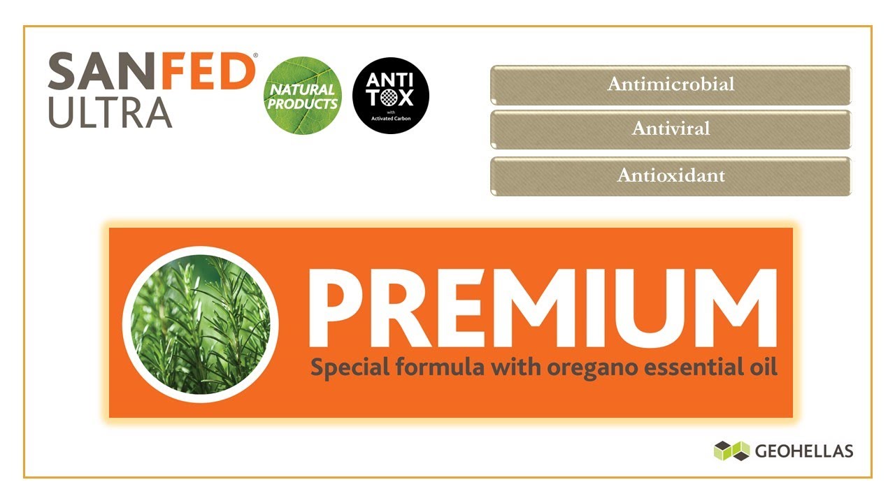 SANFED Ultra - YouTube