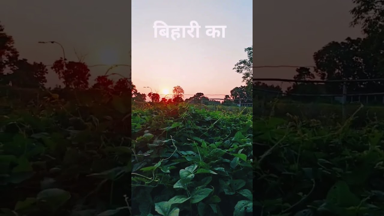 A Raha Hai Bihari Ka Sabse Bada Parvπ Chhath Puja Songchhathpuja Short New Viral Youtube