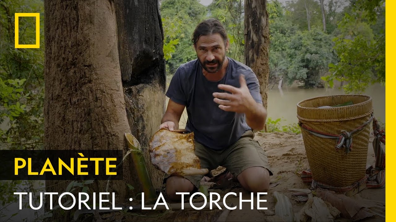 Tutoriel : comment faire une torche 100 % naturelle dans la jungle ...