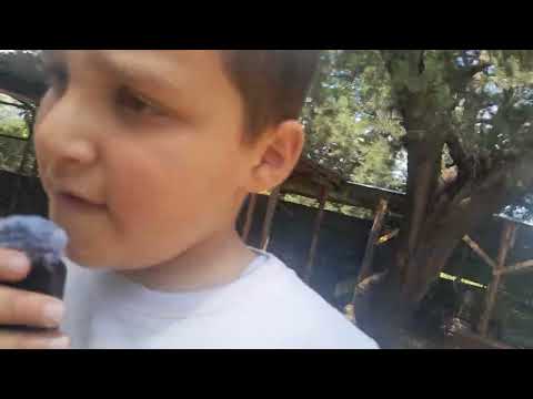 Ağıl tanıtımı ve mini sohbet vlog 2