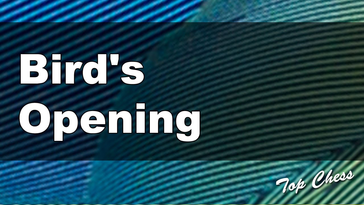 Chess Online - Bird's opening - YouTube