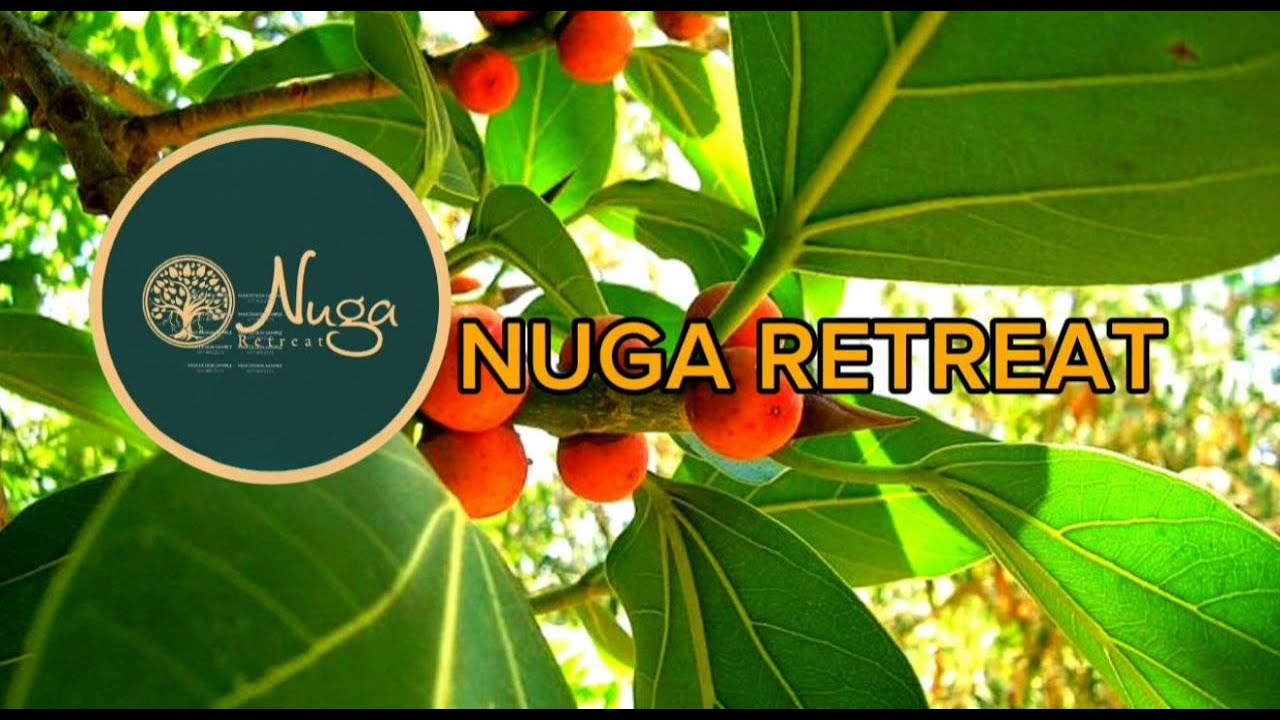 Discover Nuga Retreat: Your Serene Getaway in Sri Lanka's Hill Country ...
