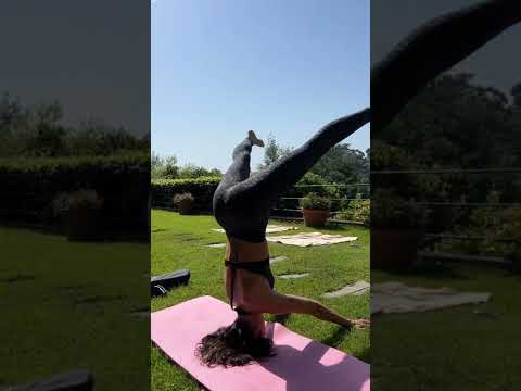 Dua Lipa yoga body sexy