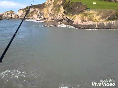 Sea Fishing - Ilfacombe North Devon - YouTube