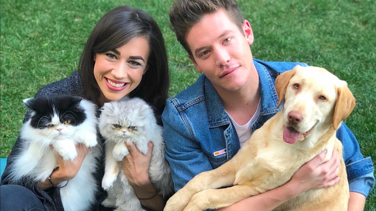 WE ADOPTED A DOG! - YouTube