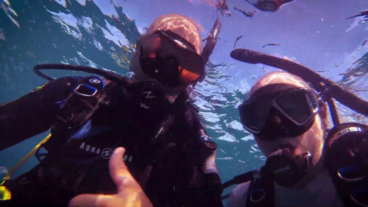 Sombrero Reef Marathon Key Scuba Dive 4K - YouTube