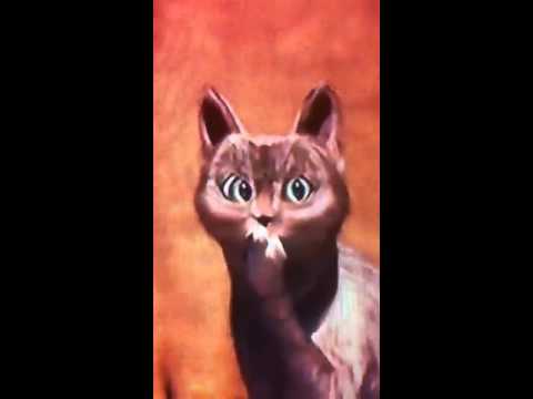 Ooooo Cat - YouTube