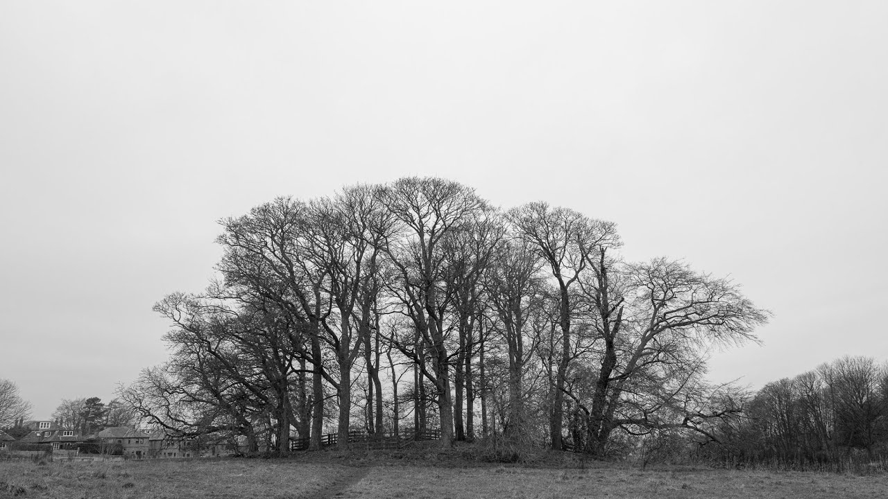 Making a photo during anticyclonic gloom - slow photography. - YouTube