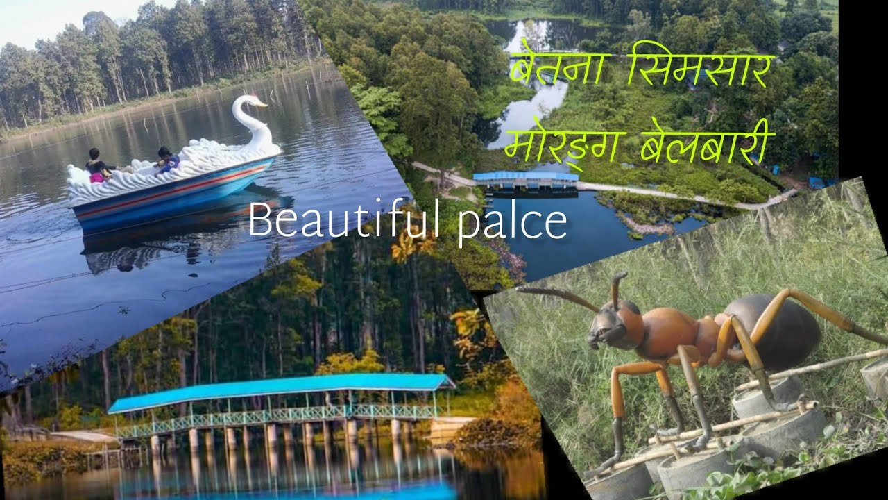 बेतना सिमसार [ Betana simsar] Amazing Park | Visit Nepal 2021 | morang ...