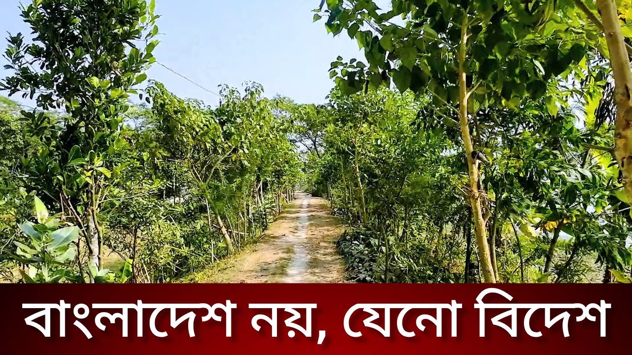 এটা বাংলাদেশ নয়, যেন Foreign Landscape | Cinematic River Bank Village ...