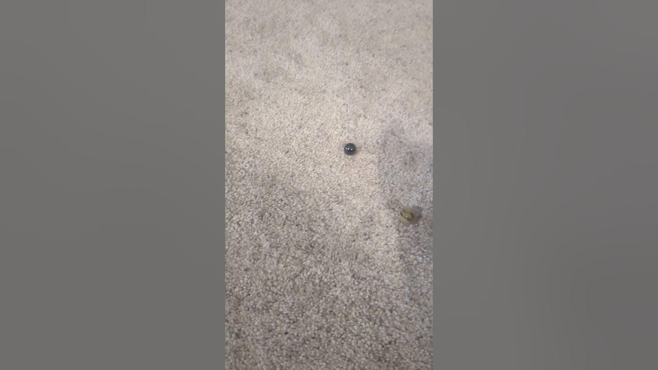 throw it out the window meme - YouTube