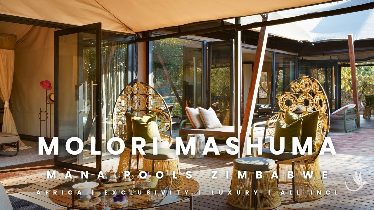 Molori Mashuma: Mana Pools, Zimbabwe - YouTube
