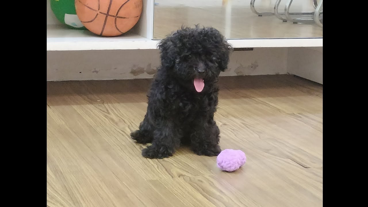 Learning fetch - YouTube