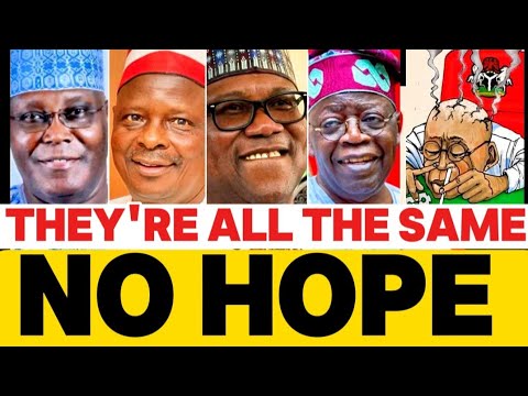 Nigeria Will Not Work Again: Your Politicians Are Birds Of The same ...